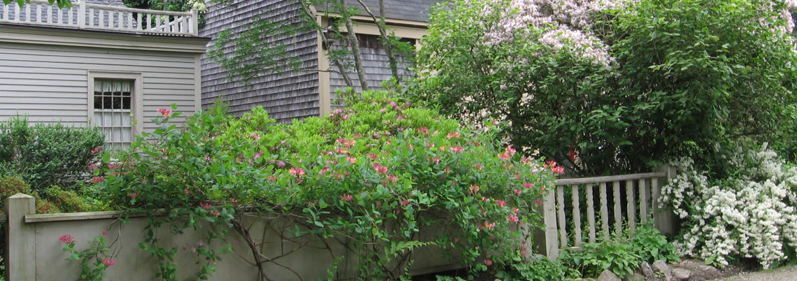 Beatrix Farrand Society