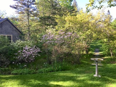 Home [www.beatrixfarrandsociety.org]